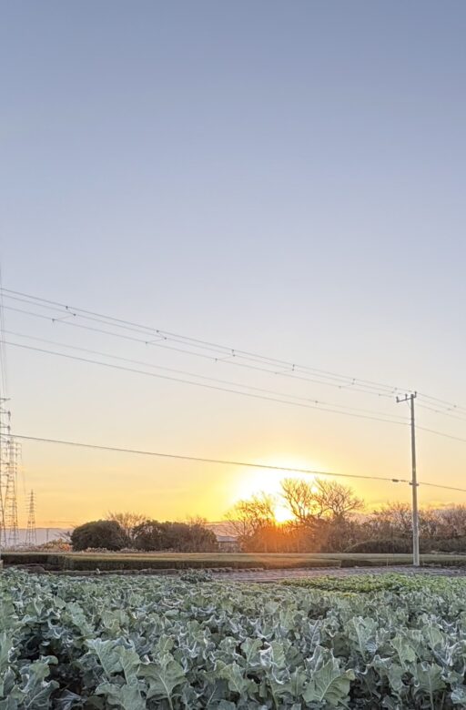 2026年 新年ご挨拶 | 沼津市の総合建設業 | 株式会社佐藤建設